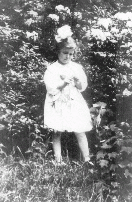 The Plummer farm in 1919 (photo gallery) – Plummer's Hollow, Pennsylvania