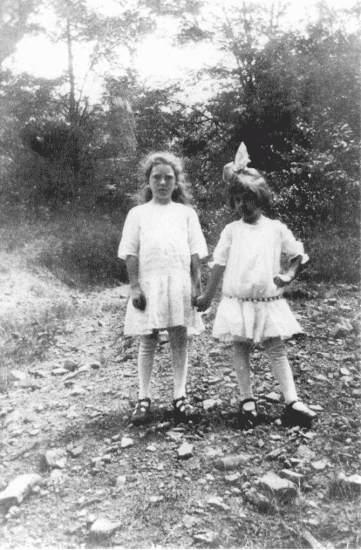 The Plummer farm in 1919 (photo gallery) – Plummer's Hollow, Pennsylvania