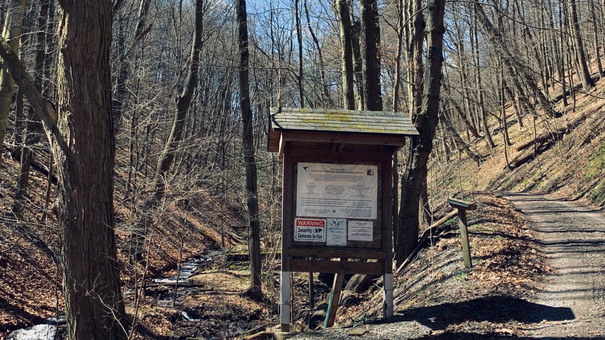 Where and What is Plummer’s Hollow? – Plummer's Hollow, Pennsylvania